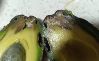 牛油果过敏人群有哪些_牛油果禁忌人群