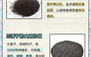 兰香子怎么吃减肥_兰香子功效与作用禁忌