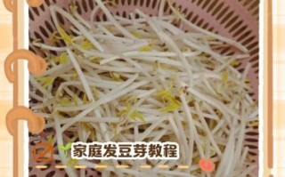 自制豆芽最简单的方法_家庭无土发豆芽步骤 自制豆芽最简单的方法_家庭无土发豆芽步骤