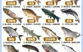 鱼图片带名字大全集_如何快速识别常见淡水鱼