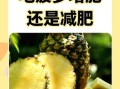 吃菠萝会胖吗_晚上吃菠萝会胖吗