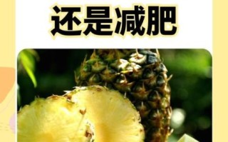 吃菠萝会胖吗_晚上吃菠萝会胖吗