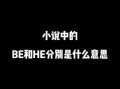 据为己有高干小说讲了什么_结局是HE还是BE