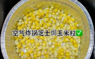 炸玉米粒怎么做_炸玉米粒用什么玉米