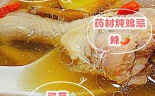 当归鸡汤的功效与作用_当归鸡汤适合什么人喝