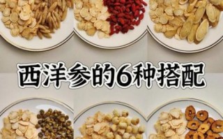 西洋参配什么喝效果最好_西洋参和什么搭配不上火