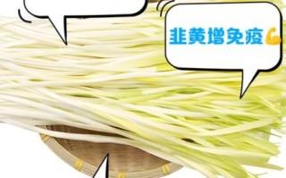 女人吃韭黄有什么好处_女人吃韭黄会胖吗