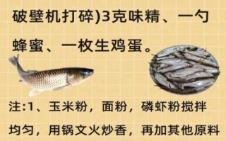 鲤鱼饵料绝密配方_自制鲤鱼饵料怎么做