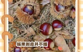 怎样去板栗壳和内皮_生板栗怎么去皮最快