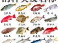 深海鱼大全_哪些深海鱼适合孕妇吃