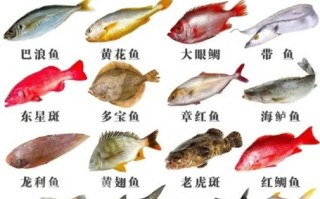 深海鱼大全_哪些深海鱼适合孕妇吃