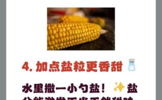 新鲜玉米粒怎么煮_煮多久才香甜
