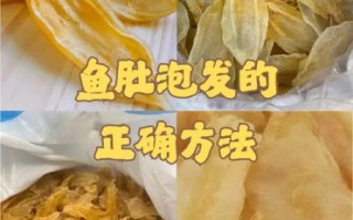 新鲜鱼肚怎么清洗_新鲜鱼肚怎么做好吃