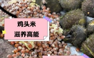鸡头米对糖尿病的好处_糖尿病人能吃鸡头米吗