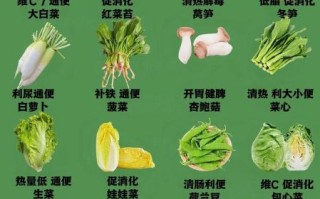 蔬菜有什么菜名大全_蔬菜名字大全及分类