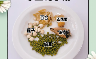 乳鸽煲绿豆怎么做_乳鸽煲绿豆的正宗做法 乳鸽煲绿豆怎么做_乳鸽煲绿豆的正宗做法