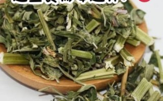 益母草调经什么时候吃_经期前还是后