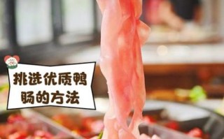 鸭肠的营养价值_鸭肠的功效与作用