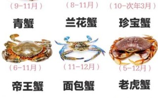 螃蟹种类图片大全_如何区分常见蟹类