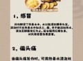 感冒姜汤怎么做_感冒喝姜汤有用吗