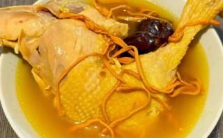 珍珠鸡怎么做好吃_珍珠鸡的家常做法