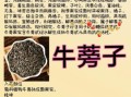 牛蒡的功效与作用_牛蒡的禁忌症有哪些