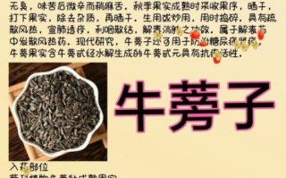 牛蒡的功效与作用_牛蒡的禁忌症有哪些