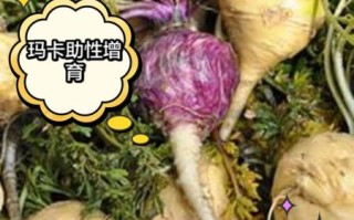 玛卡真的能壮阳吗_玛卡壮阳效果真相