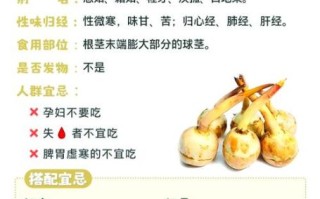 慈菇的功效与作用禁忌_什么人不能吃慈菇