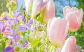 花图片大全鲜花唯美_如何用手机拍出大片感