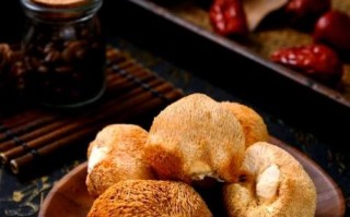 新鲜猴头菇怎么挑选_新鲜猴头菇怎么吃最好