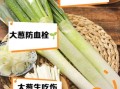生吃大葱的好处和坏处_生吃大葱会上火吗