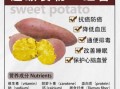 减脂期间可以吃红薯吗_红薯热量高吗