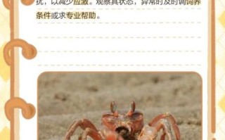 中华沙蟹怎么养_中华沙蟹吃什么