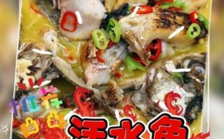 活水鱼怎么选_活水鱼最正宗的做法