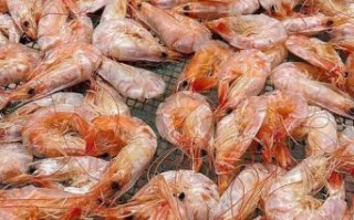 大对虾干怎么做好吃_大对虾干的家常做法