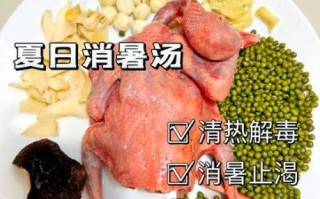 乳鸽绿豆汤怎么做_乳鸽绿豆汤的功效与禁忌