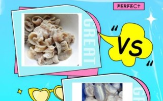 鱼肚是什么器官_鱼肚和鱼鳔一样吗