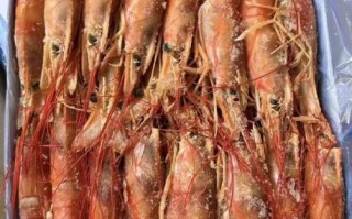 阿根廷红虾多少钱一盒_阿根廷红虾价格为什么差异大