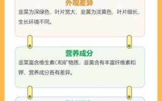韭黄和韭菜哪个营养高_韭黄和韭菜营养价值对比