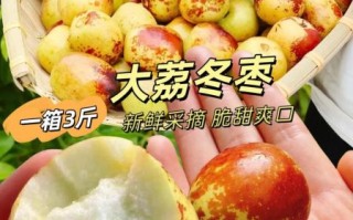 大冬枣什么时候成熟_大冬枣怎么挑选
