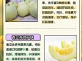 香瓜的籽可以吃吗_香瓜籽的营养价值