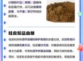 桂皮粉怎么吃_桂皮粉的功效与作用