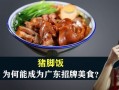 猪脚饭图片高清_哪里能下载