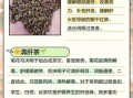 决明子泡水喝的功效与禁忌_决明子茶能天天喝吗