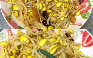 素炒豆芽菜怎么做好吃_豆芽菜炒多久才脆嫩