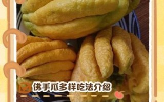 佛手瓜怎么做好吃_佛手瓜的功效与作用