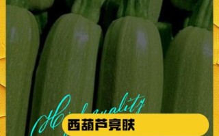 西葫芦的功效与作用_西葫芦的禁忌有哪些