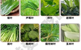 粽子叶泡多久才可以煮_粽子叶要泡多长时间才能包