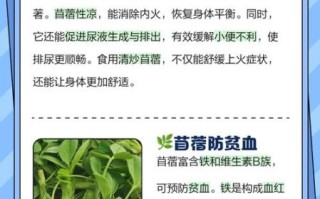 苜蓿菜图片功效_苜蓿菜有什么营养价值